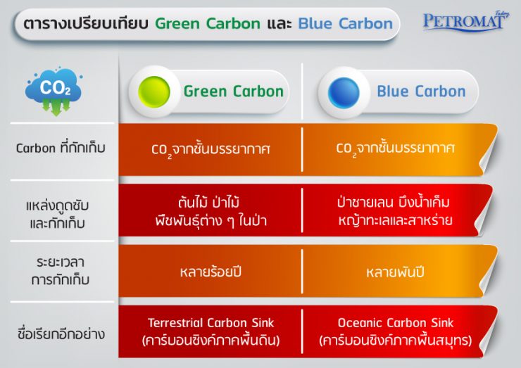 แหล่งดูดซับคาร์บอนตามธรรมชาติของโลก – PETROMAT