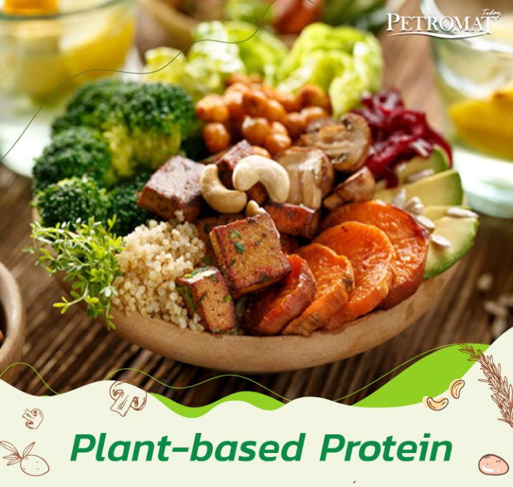 Plant-Based Protein โปรตีนทางเลือกใหม่ของคนรักสุขภาพ – PETROMAT