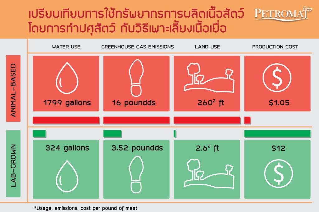 Cultured Meat อีกทางเลือกความมั่นคงด้านอาหารในอนาคต – PETROMAT