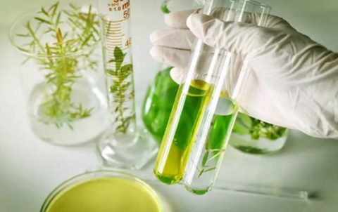 ส่องเทคโนโลยีสมัยใหม่…พาธุรกิจไทยก้าวไกลในยุค New Normal – PETROMAT