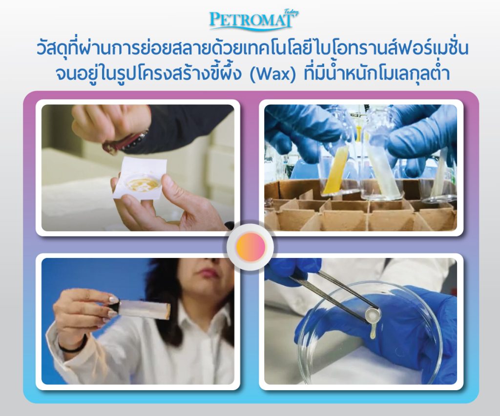 Biotransformation – PETROMAT